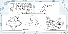 Robin Template - Themed Colouring Pages - Teaching Resource