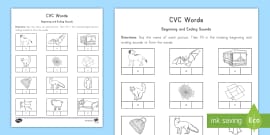 CVC Words Middle Vowel Sounds Activity (teacher made)