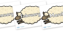 Months of the Year on Sheep (teacher made) - Twinkl