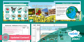 Minibeast Hunt Lesson Plan KS1 | Science | Biodiversity