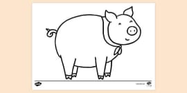 Pig Face Colouring Sheet | Colouring Sheets (teacher made)