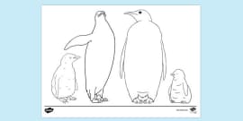 👉 Feed the Penguin Subitising Activity (teacher made)