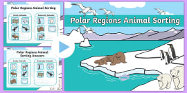Comparing the Polar Regions KS1 PowerPoint | KS1 Resources