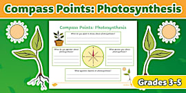 Photosynthesis Matching Activity for 3rd-5th Grade