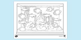 FREE! - Fish Tank Colouring | Colouring Sheets - Twinkl