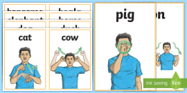 Sign Language Alphabet Image Flash Cards - flash cards