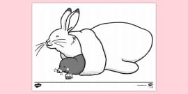 FREE! - Mole in the Mitten Colouring Sheet | Colouring Sheets