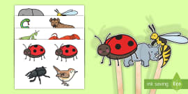 Ladybird Stick Puppets (Teacher-Made) - Twinkl