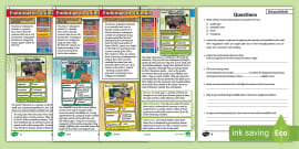 KS2 Endangered Animals Fact File (teacher made) - Twinkl