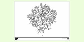 FREE! - Bunch Of Roses Colouring Page (teacher made)