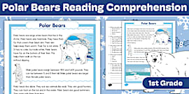 Third Grade Polar Bears Reading Passage Comprehension