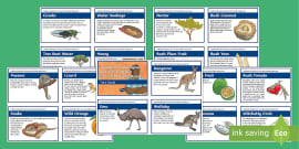 Traditional Aboriginal Food Practices Posters (teacher made)