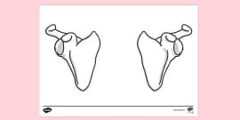 Shoulder Stretch Colouring | Colouring Sheet (teacher made)