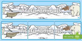 Polar Regions Animals Display Posters - Polar List - Twinkl