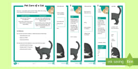 KS1 All About Cats Non-Fiction Differentiated Reading Comprehension ...