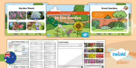 Year 1 Science Features of Plants Lesson 2 Wild Plants