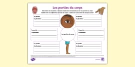 Cartes sur les parties du corps français (teacher made)