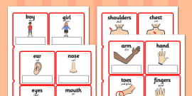 Editable My Body Cards (Teacher-Made) - Twinkl