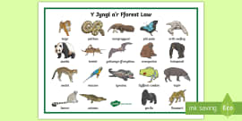 Mat Geiriau Enwau Anifeiliaid Cymru - Adnoddau Dysgu Cymraeg