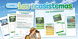 Actividad Ecosistemas: Interacciones - Twinkl Colombia