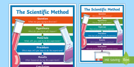 Scientific Method Flash Cards (Teacher-Made) - Twinkl