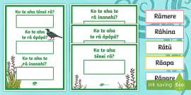 Visual Timetable Flashcards Te Reo Māori