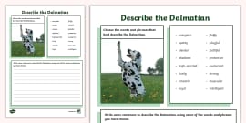KS2 Dogs Adjectives Worksheet - Twinkl Writing