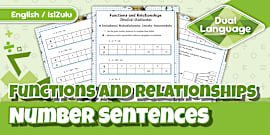 True and False with Functions and Relationships Activity Sheet