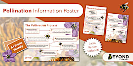 Pollination Information Poster