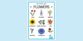 FREE! - Printable Floral Page Border (teacher made)