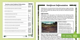 Deforestation Colouring Sheet