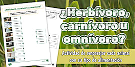 Pósters: Seres vivos herbívoros, carnívoros y omnívoros