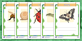 EYFS Minibeast Hunt Checklist - Teaching Resources