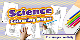 STEM Mindful Colouring Pages | F-2 Stem Resources
