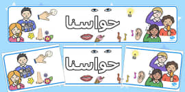 👉 Our Senses Display Banner Arabic Translation - Twinkl