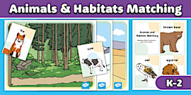What is a habitat? | Life Science | Twinkl USA - Twinkl