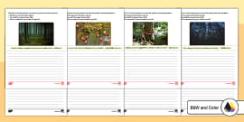 Celebrating Trees Posters for Arbor Day or Earth Day