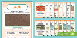 Extreme Earth Fact Cards (teacher made) - Twinkl