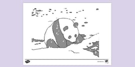 FREE! - Red Panda Colouring | Colouring Sheets - Twinkl
