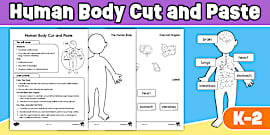 Human Body Template