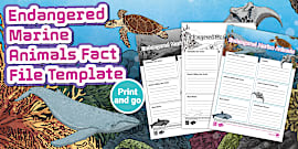 Sea Animals Fact File Template - Twinkl
