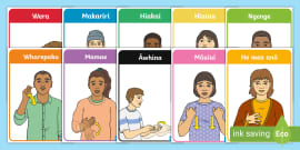 New Zealand Sign Language Days of the Week Display Posters Te Reo Māori