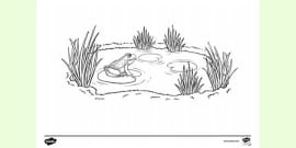 FREE! - Recorder Side View Colouring | Colouring Sheets