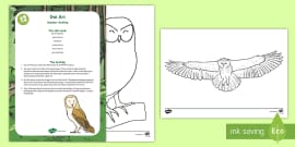 Short Vowel Sounds - Owls Sorting Game (teacher made)