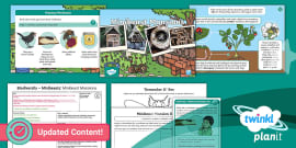 Minibeast Hunt Lesson Plan KS1 | Science | Biodiversity