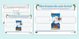 Sea Birds Mind Map (teacher made) - Twinkl