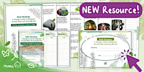 Twinkl Home Learning Hub - Twinkl