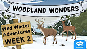 Twinkl Home Learning Hub - Twinkl