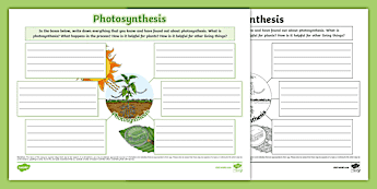 Photosynthesis Resources | twinkl.co.uk
