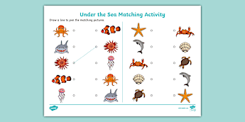 Science Matching Activity • Twinkl.com.au